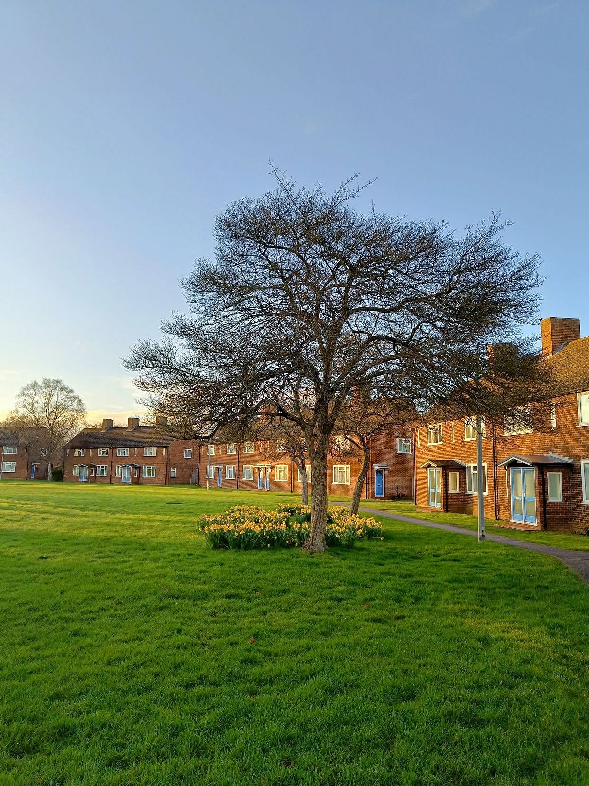 Cranfield at its prettiest phase. As the weather warms up, Cranfield ...