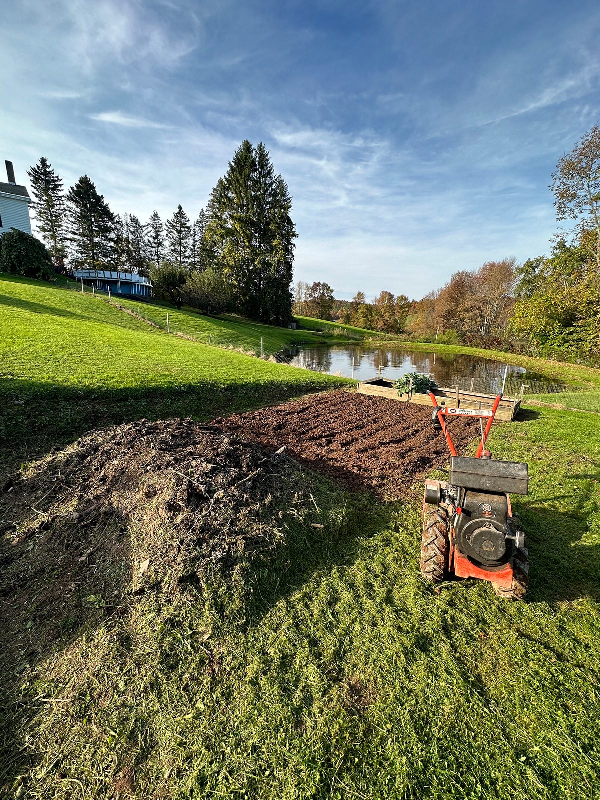 My Almost Daily Journal-Final Garden Cleanup-I May Plant Some Cover ...