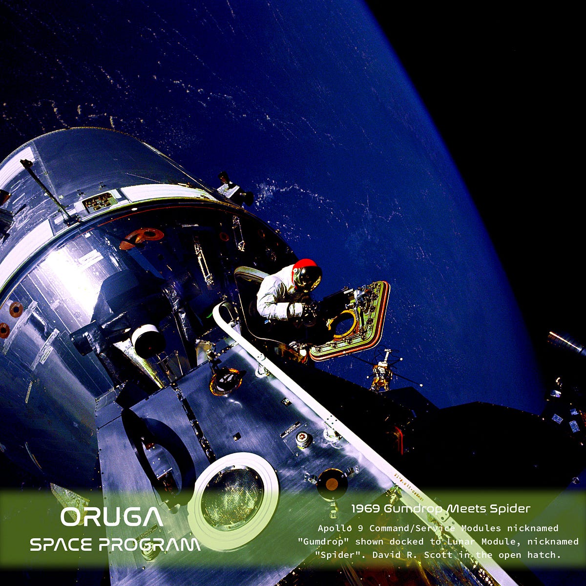 Unveiling the Wonders of Oruga Stickers and Prints: Embark on a Journey ...