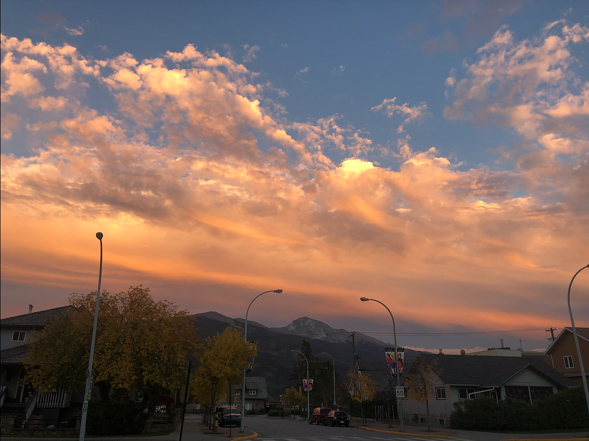 How a Wildfire Changed My Life Overnight | by Skylar Whitney | Medium