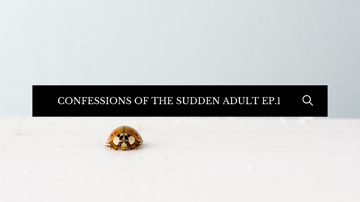 THE ODD AGE OF 23.. At least for me, this is what 23 looks… | by ...