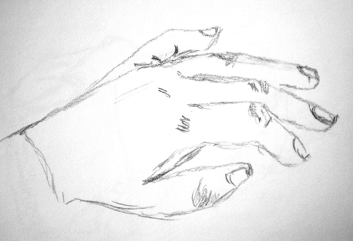 I’m going to learn to draw. I cannot draw and I don’t think I can… | by ...