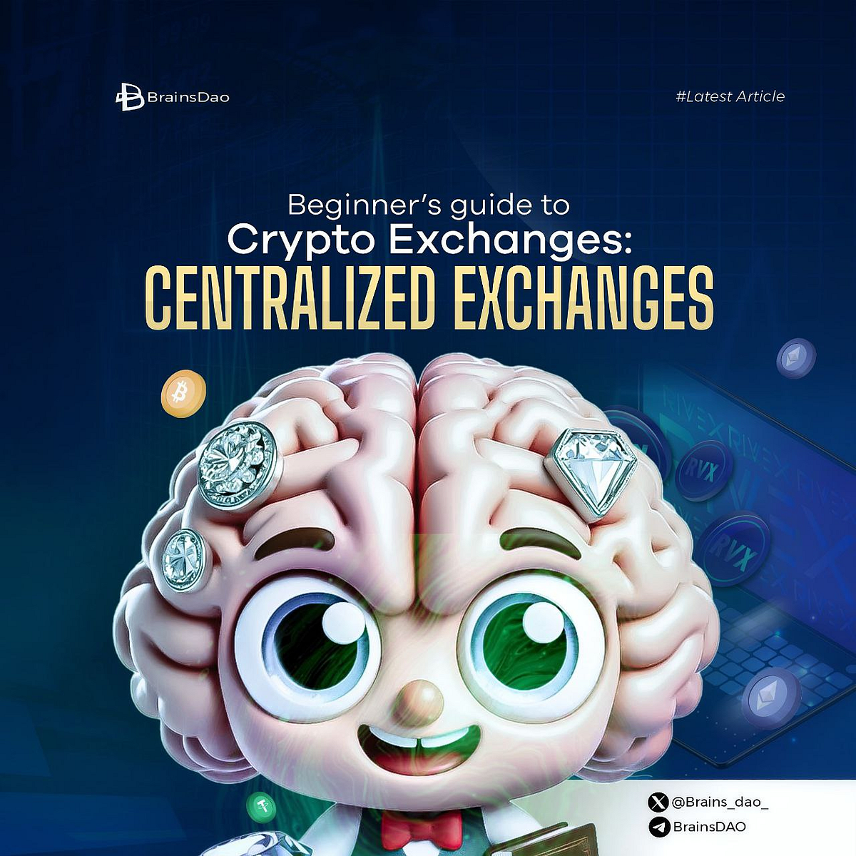Lesson VII. A Beginner’s Guide to Crypto Exchanges… | by BrainsDAO | Oct, 2024 | Medium
