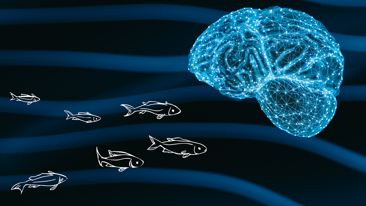 How Deep Learning Can Help Us Detect Fish | by Timothy Lin | Data ...