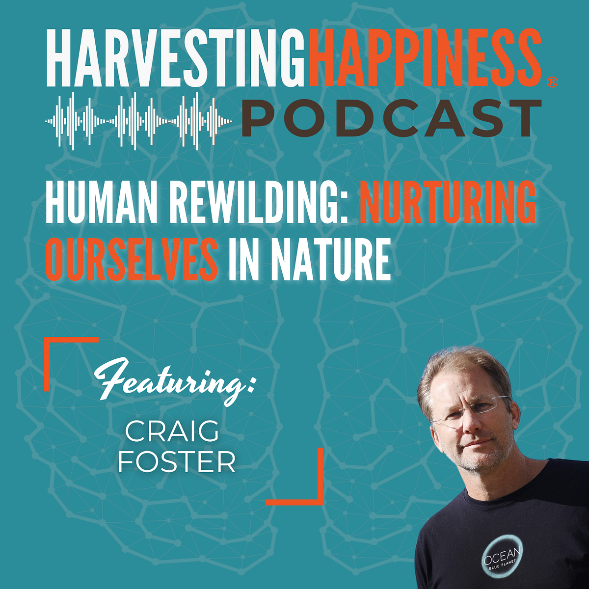 Human Rewilding: Nurturing Ourselves in Nature with Craig Foster | by ...