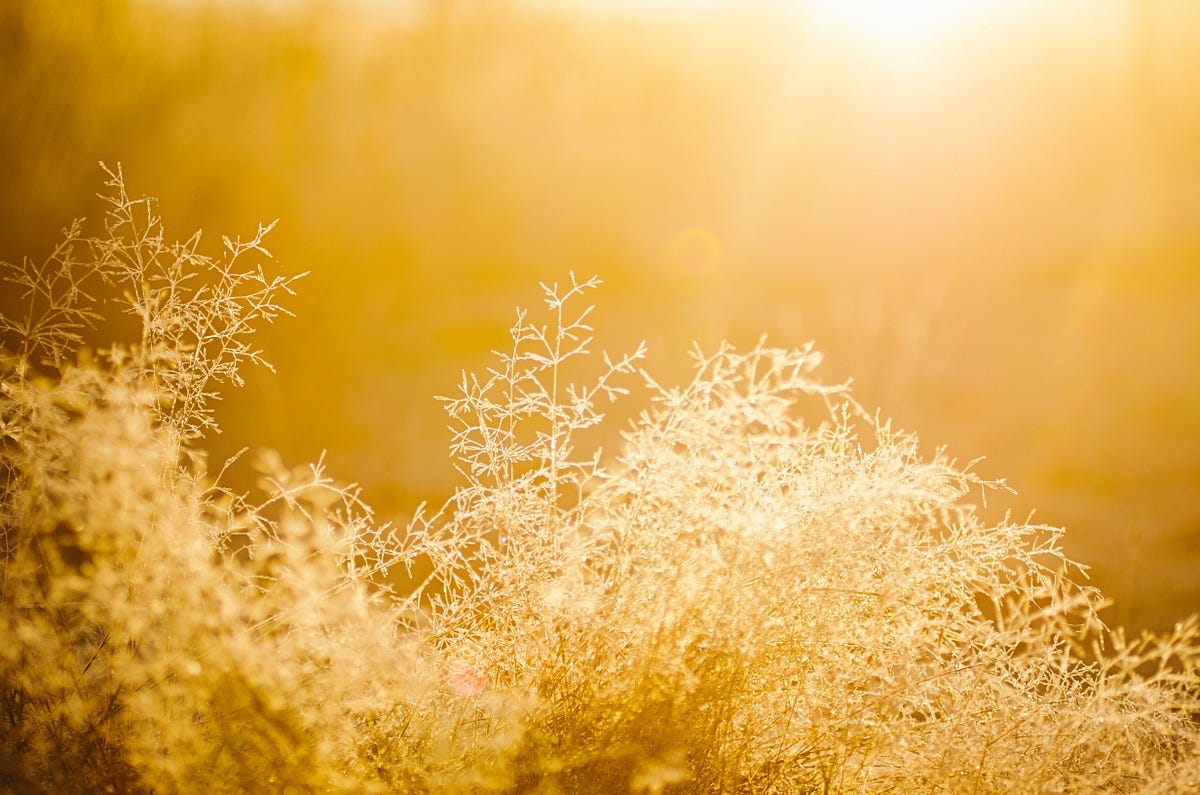 The Golden Rule: A Simple Common Morality Across All Religions | by ...