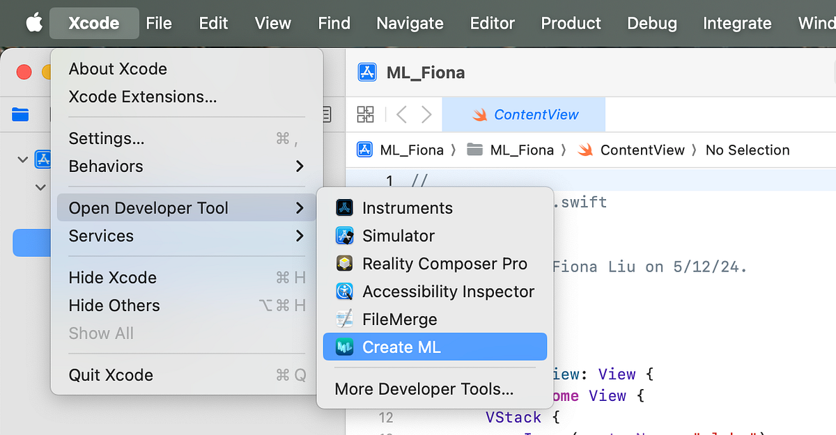 Create ML Made Easy: Your Quickstart Guide to Machine Learning on iOS with Xcode | by Fiona ...