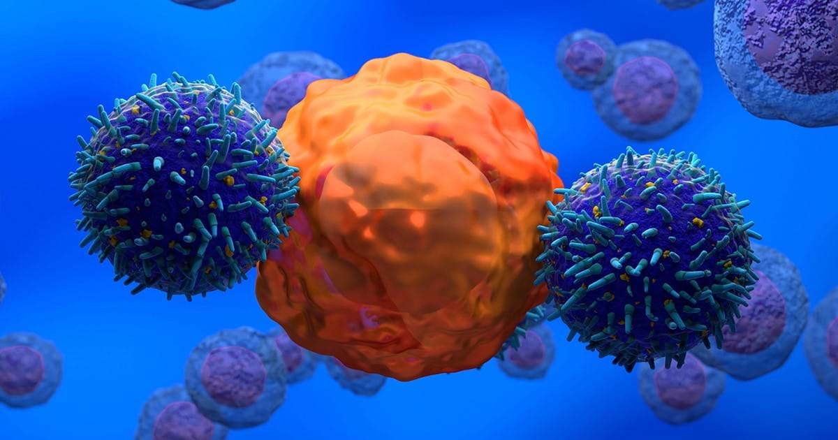 How I Designed My Own CRISPR Knockout in Benchling to Target the PD-1 ...
