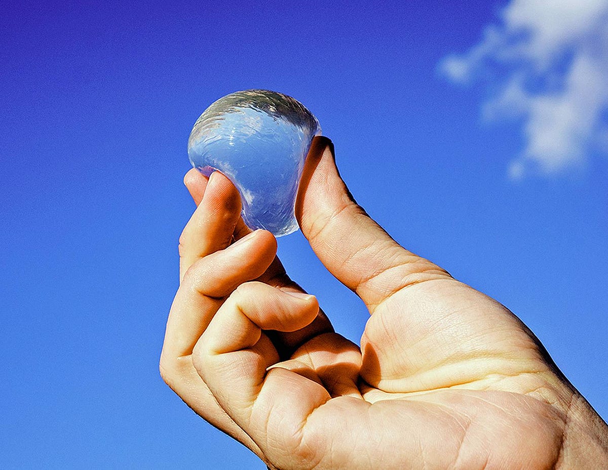 The Future of Packaging. We launched the first carbon-negative… | by ...