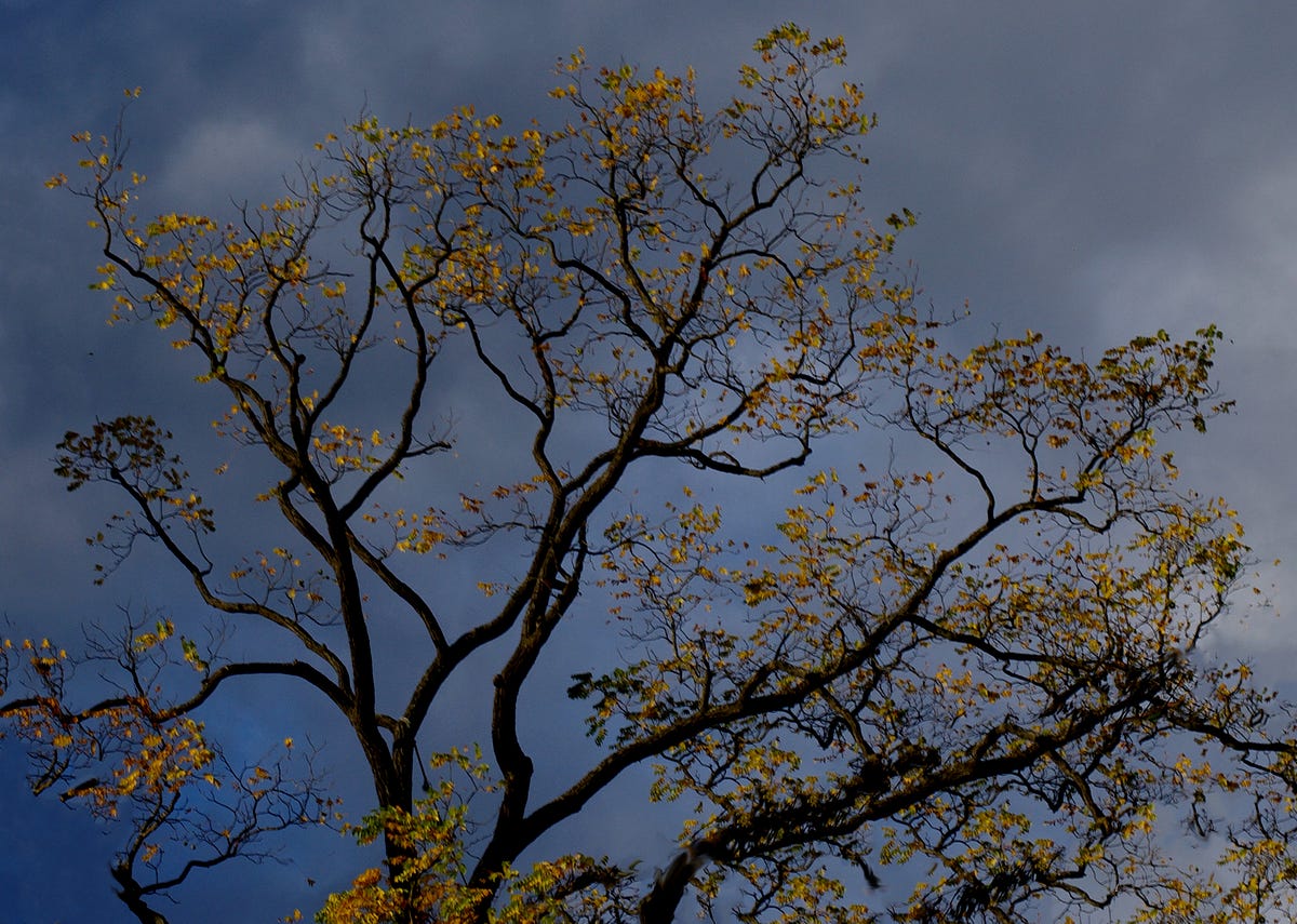 Fear Vs. Scared. We can all recount experiences of… | by Lynnclaire ...