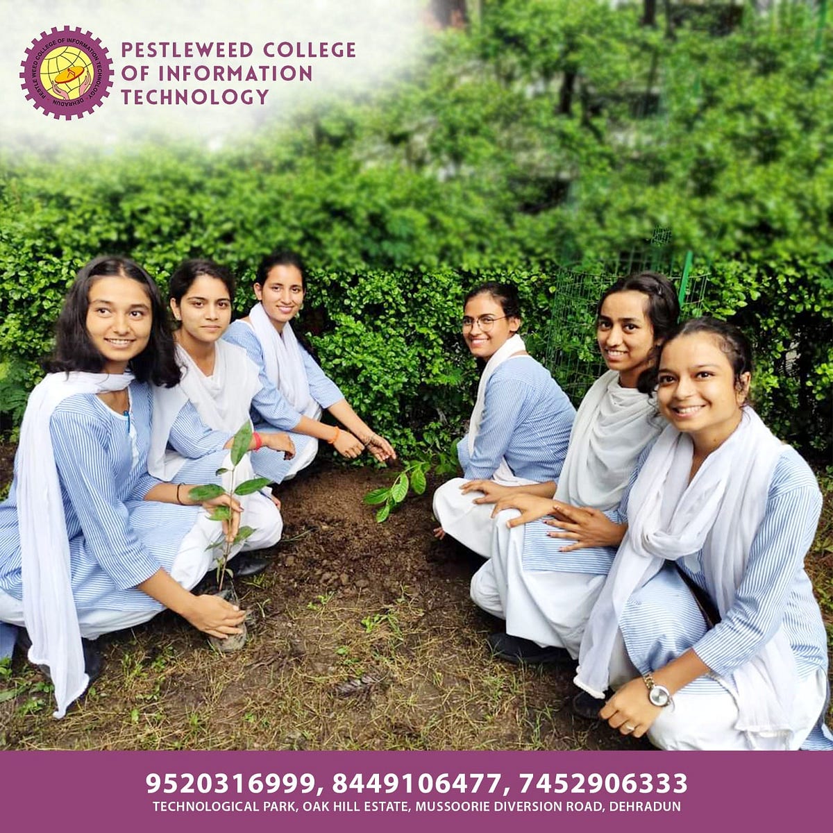 Best B.Sc Agriculture colleges in Dehradun — Pestle Weed College | by ...