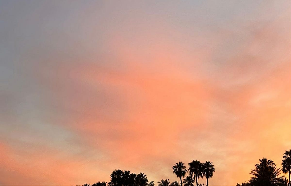 Realizing reality [Narasi 8] | by Annora 🎀 | Medium