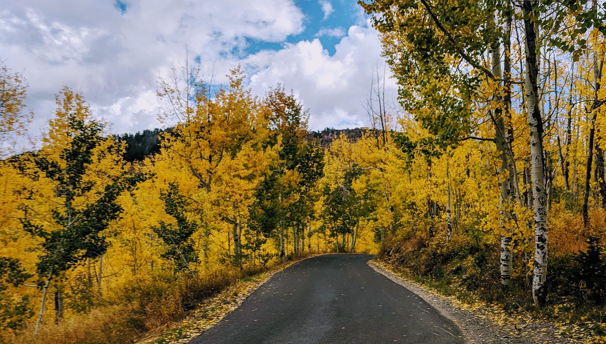 The Power of the Off Season. This is the time of year that I both… | by ...