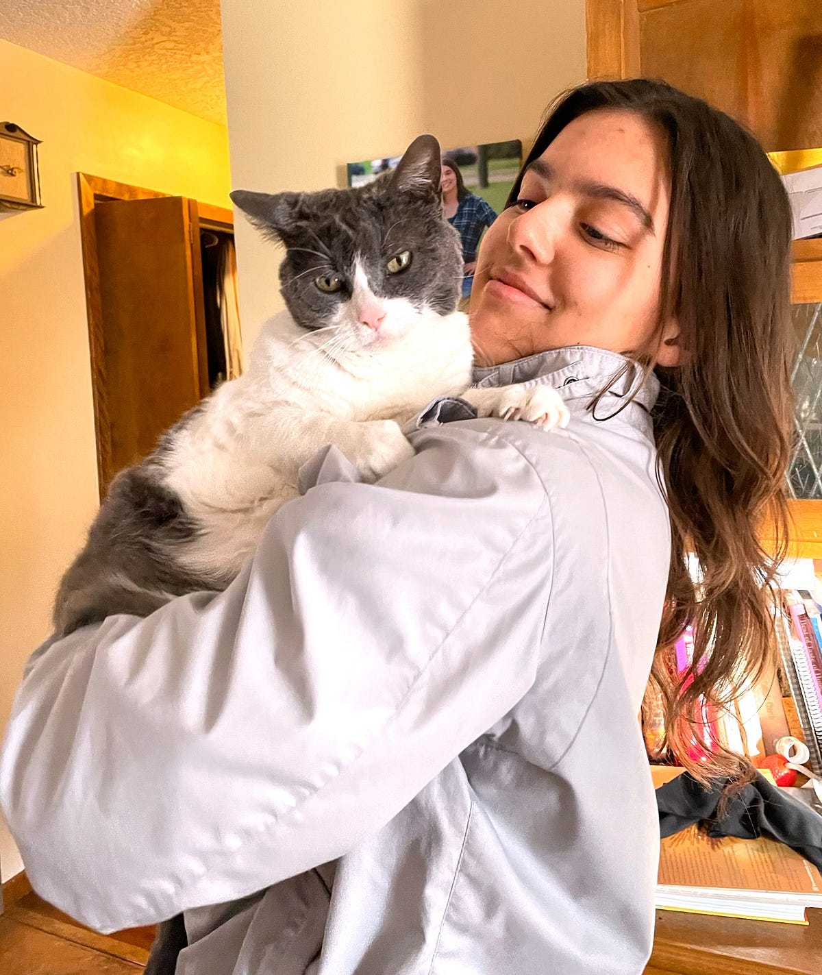 Spencer’s Final Journey: A Heartwarming Pictorial of a Beloved Cat ...