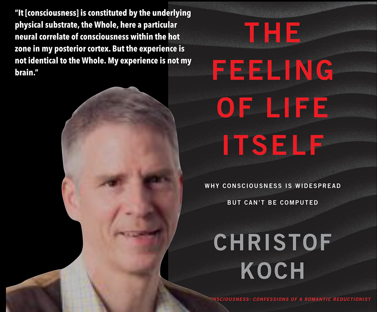 Is Integrated Information Theory as explained by Christof Koch the ...