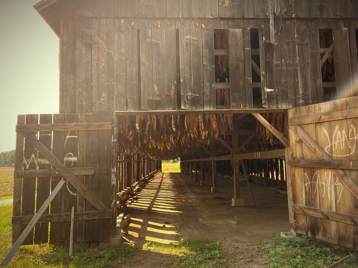A Walk Around the Block. Scenes from rural America | by Allisonn Church ...