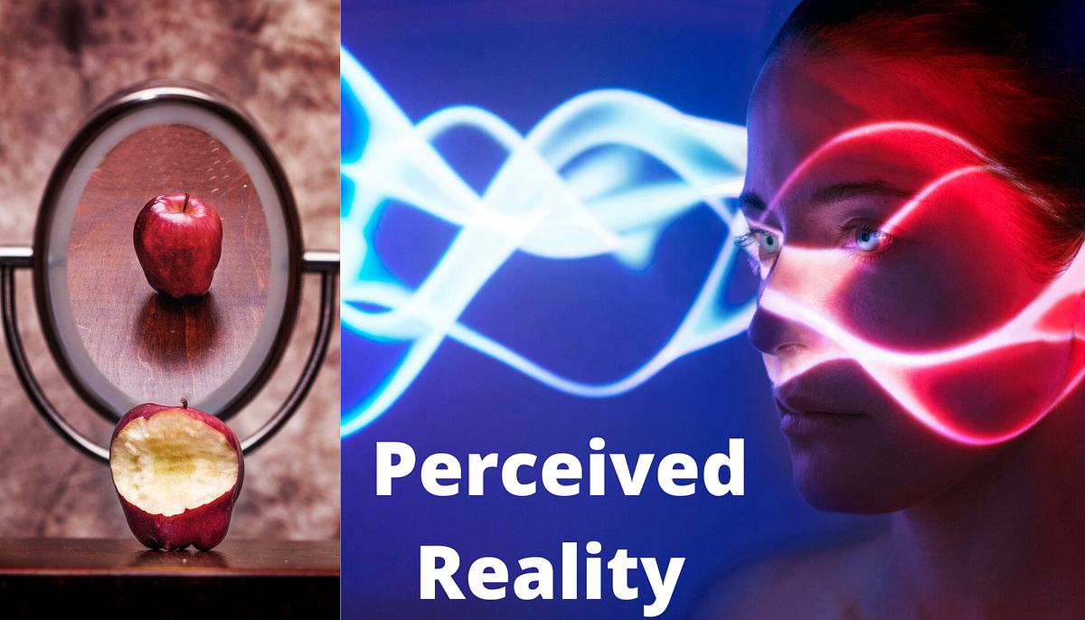 3 Reasons Why Our Individualized Perception Determines Everything In ...