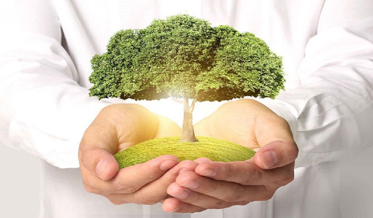 How To Reduce Air Pollution. There are so many ways that we can… | by ...