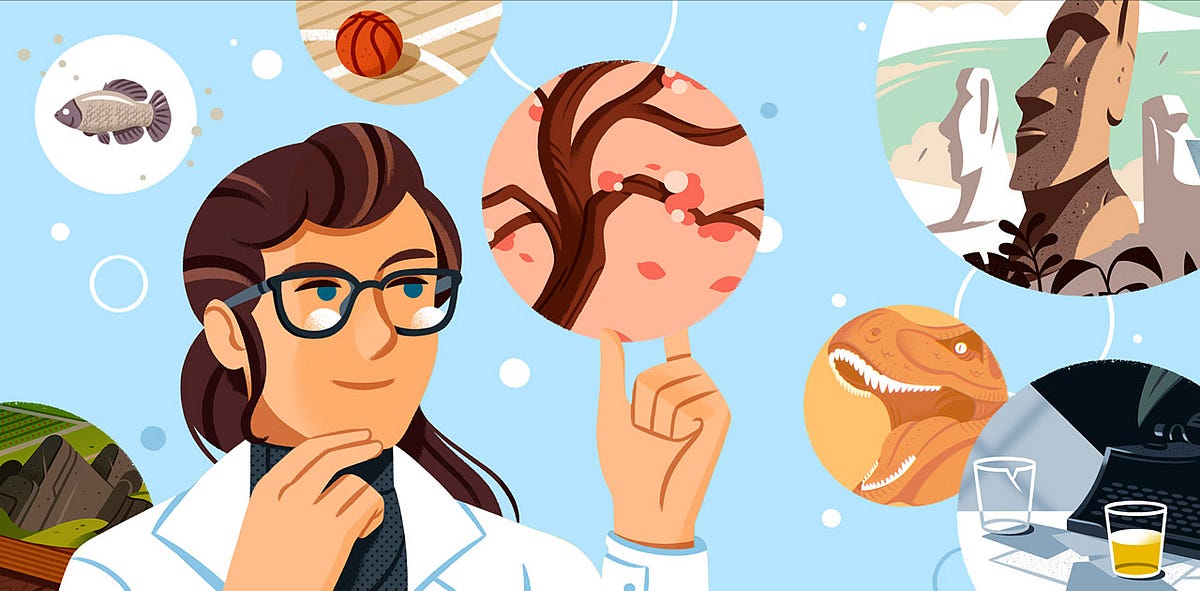 25 Metaphor Examples To Inspire Your Writing (With Explanations) | by ...