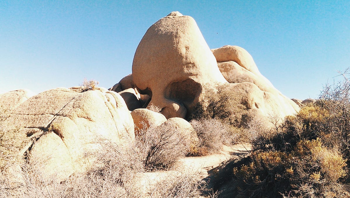Joshua Tree. Part two in a series of short stories… | by Lesley | Medium
