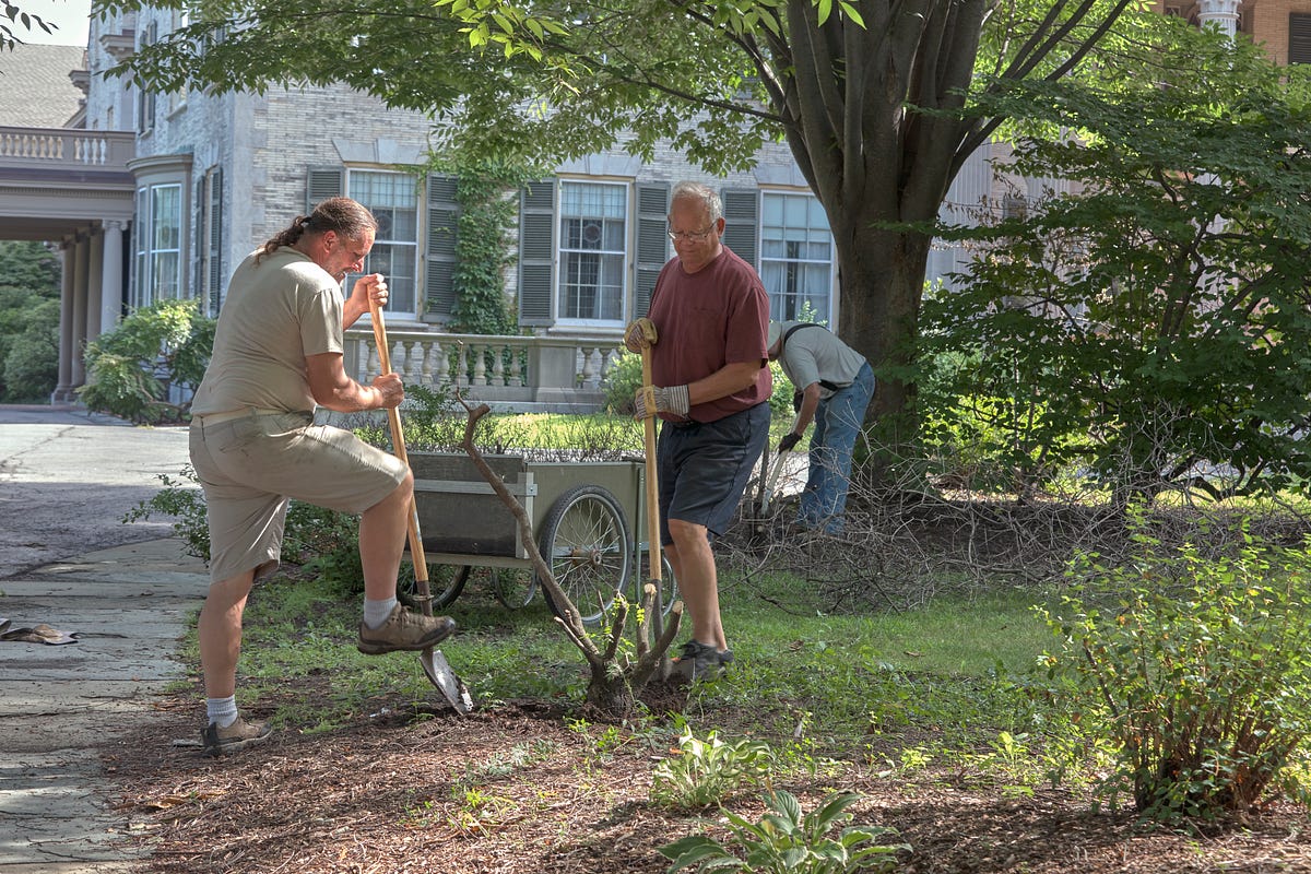 #MeetGEM: Dan Bellavia. Meet Dan Bellavia, landscape manager at… | by ...