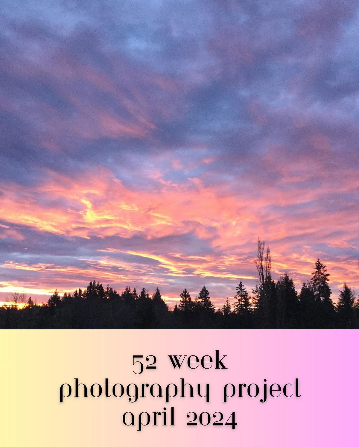 52 Week Photography Project. April 2024 Edition — Month 2 of an… | by J ...