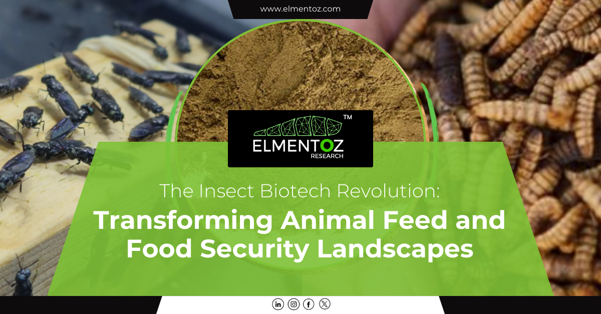 The Insect Biotech Revolution: Transforming Animal Feed and Food ...