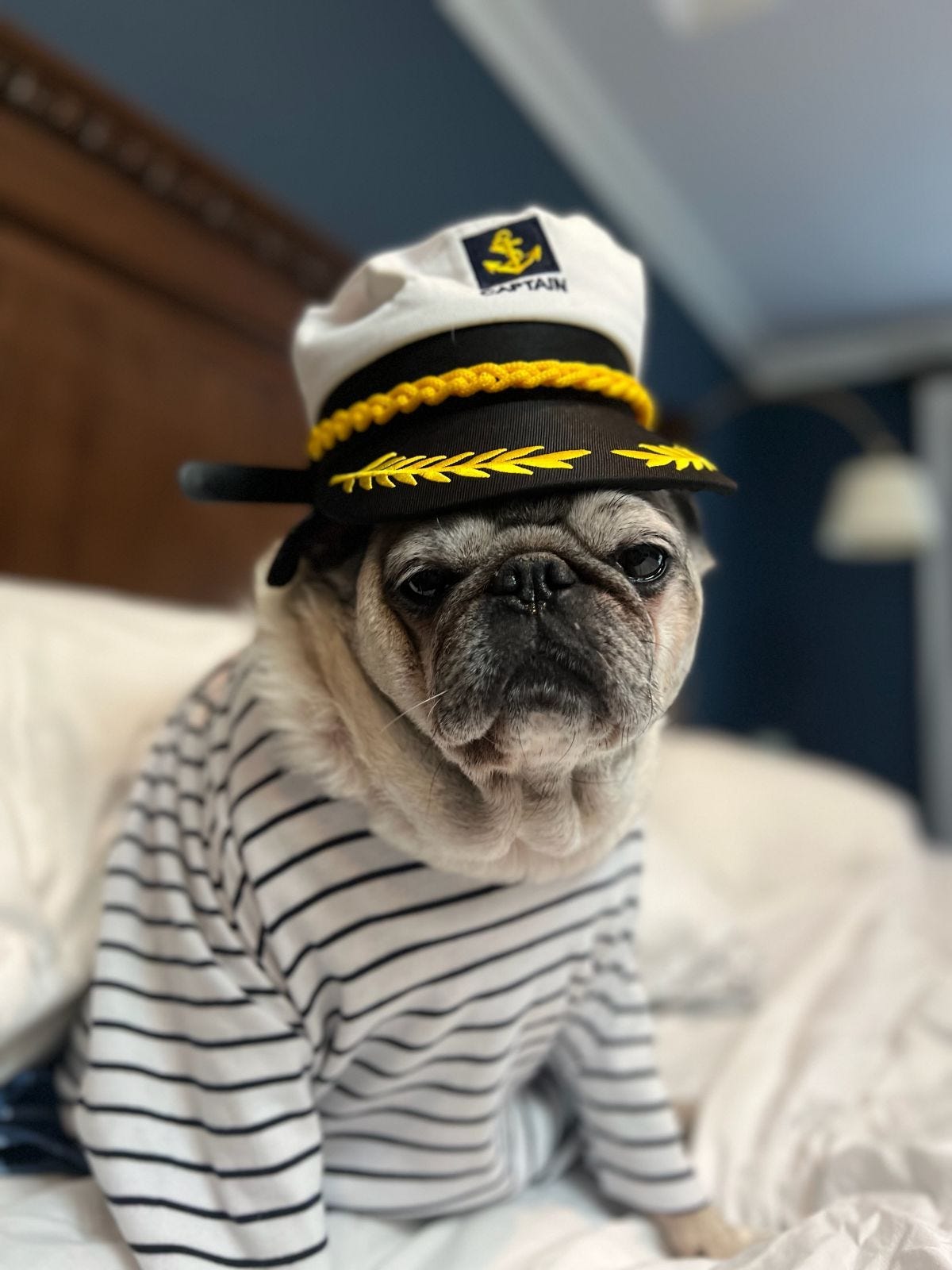 The Fairy-Berry Ferry. A silly poem | by Determination, Deliberation ...