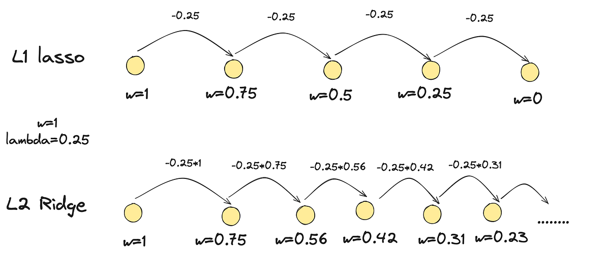 Why Do L1 and L2 Regularizations Reduce Weights Differently? | by Anna ...