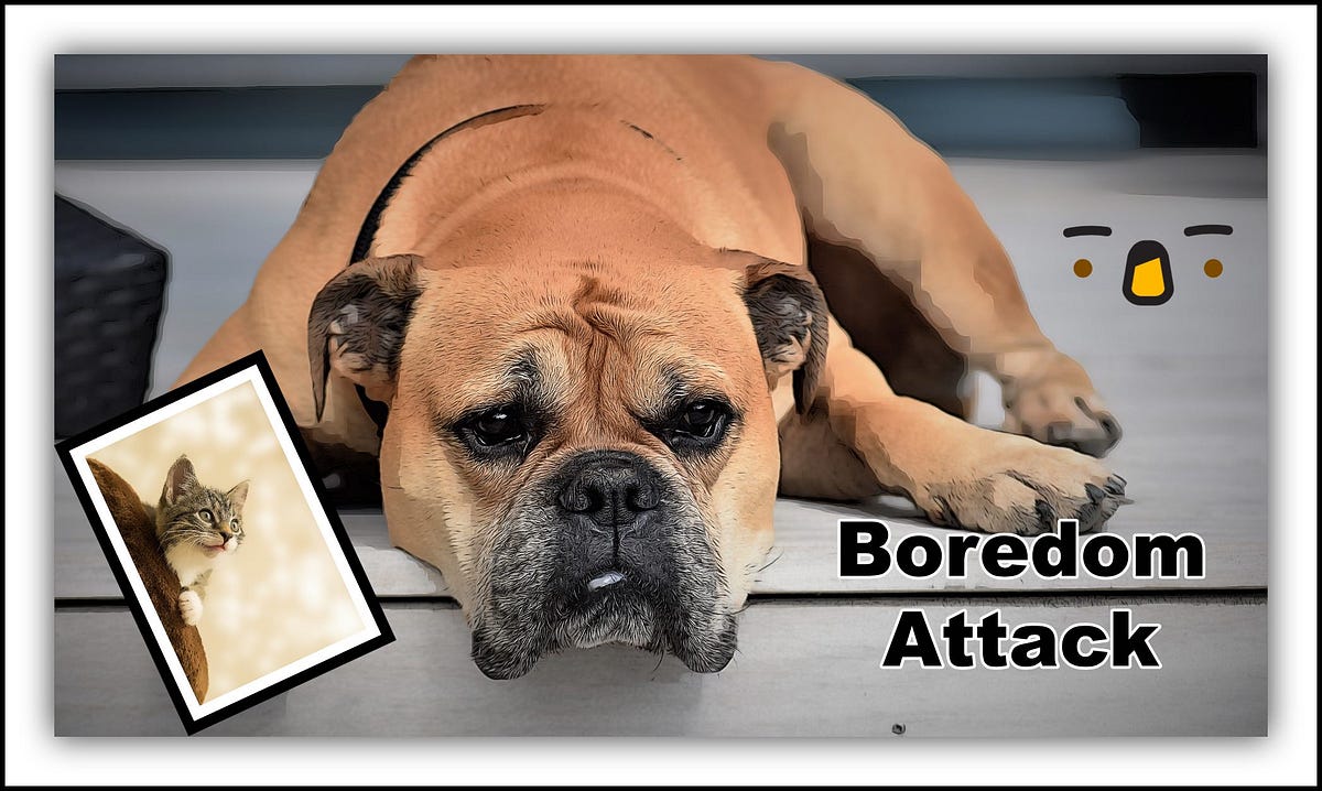 Boredom Attack | by Alessandro Valerio | Medium