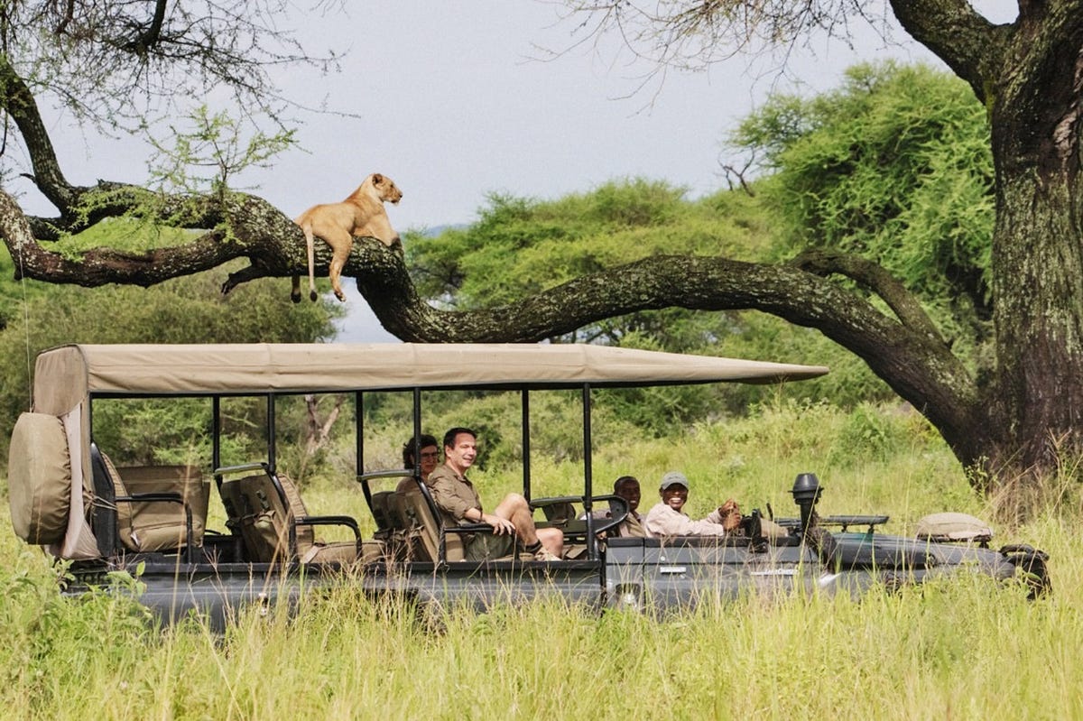 Professionally Guided Safaris In Kenya And Their Top Benefits | by ...
