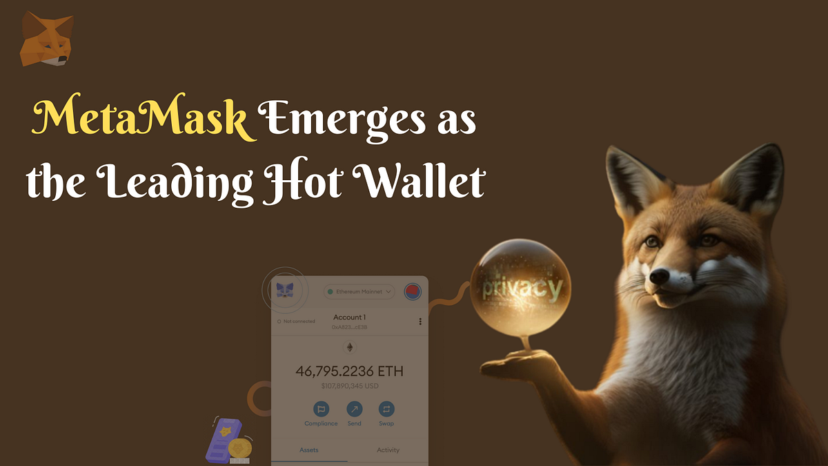 MetaMask Emerges as the Leading Hot Wallet, According to CoinGecko ...