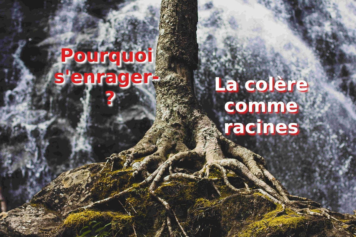 Pourquoi s’enrager ? La colère comme racines. | by Gabriel Hudry ...