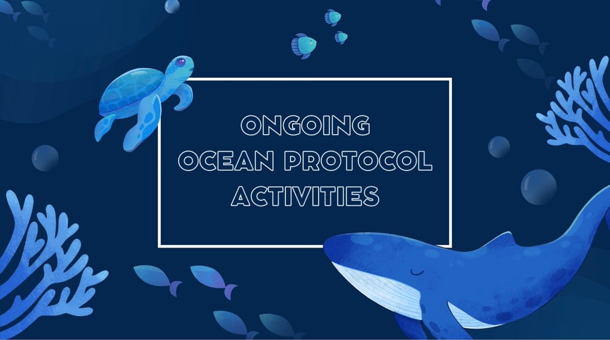Unlocking Opportunities: Explore the Exciting World of Ocean Protocol’s ...