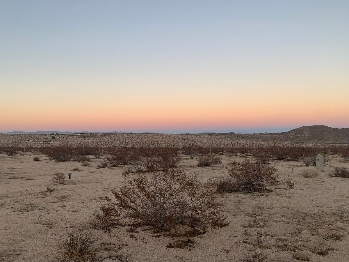 The Slow Alchemy of Desert Summers | by Rohini Walker | Medium