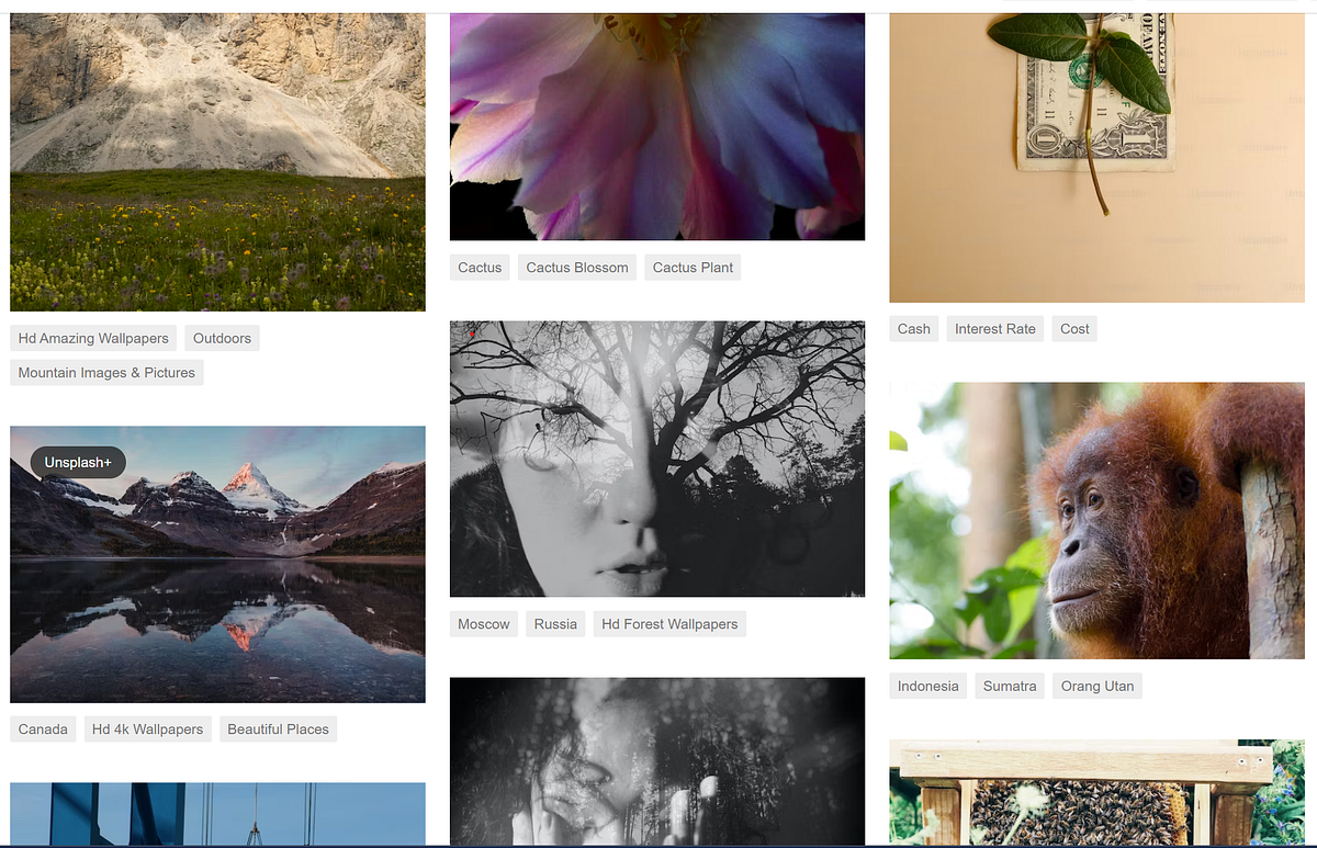 We are all doing this. - Curated Newsletters - Medium
