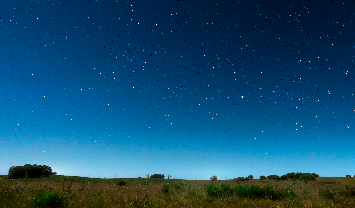 Longing to Belong: The Life of a Starseed | by Silke Stahr | Medium