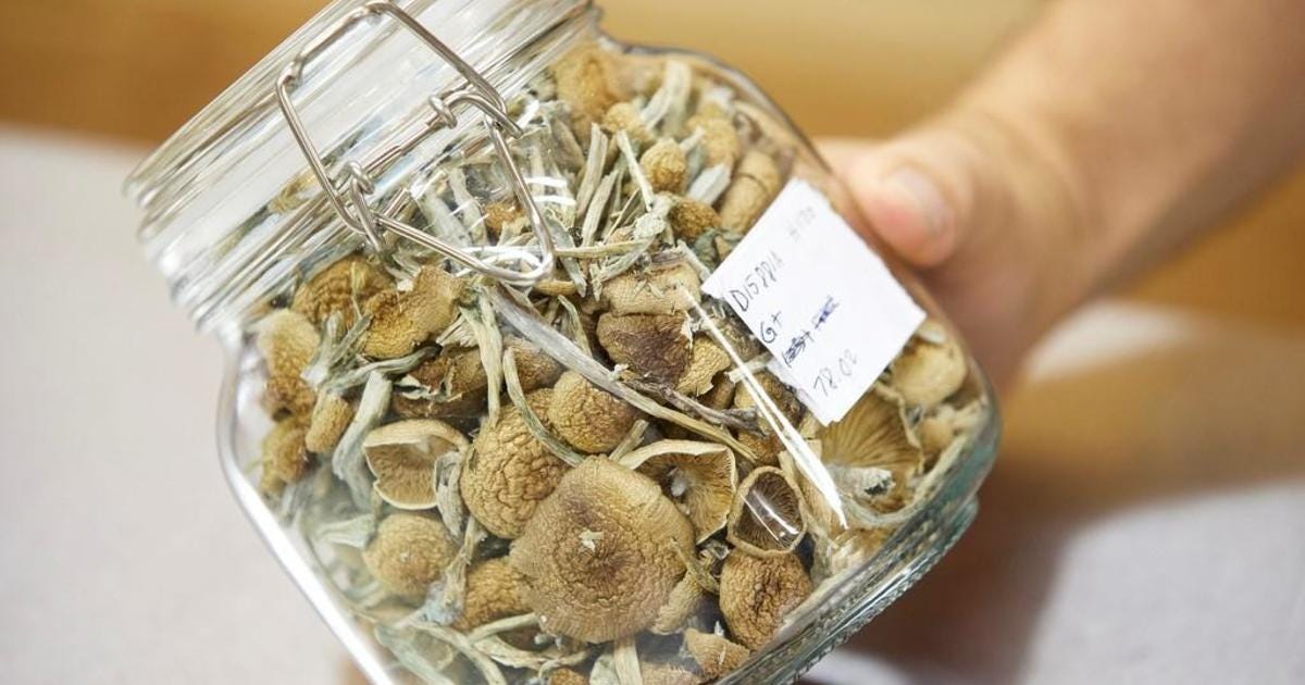Golden Teacher Shrooms: A Beginner’s Guide to Microdosing | by Britney ...