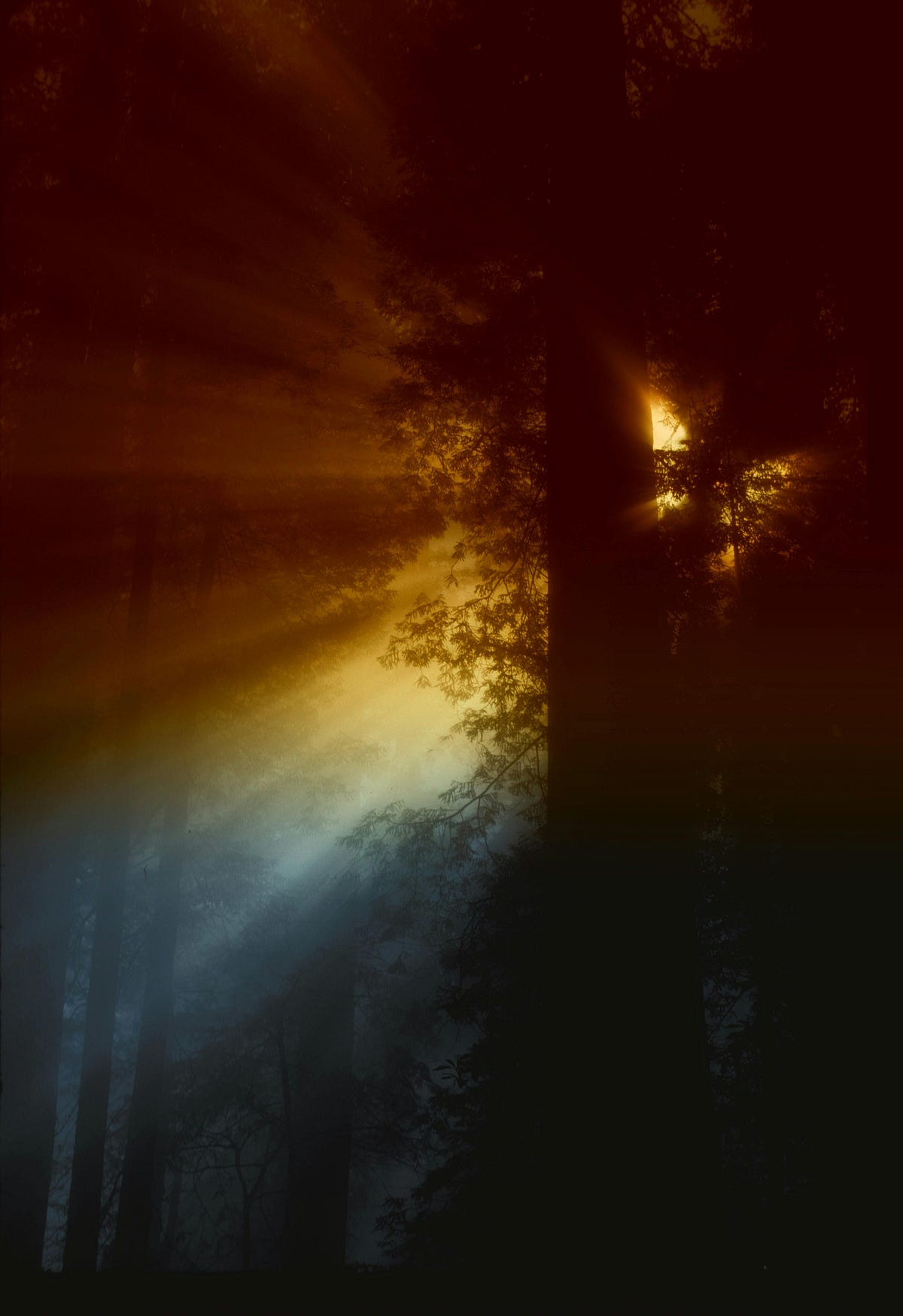 When I from Heaven Fell. I lost you too | by Tara | Medium