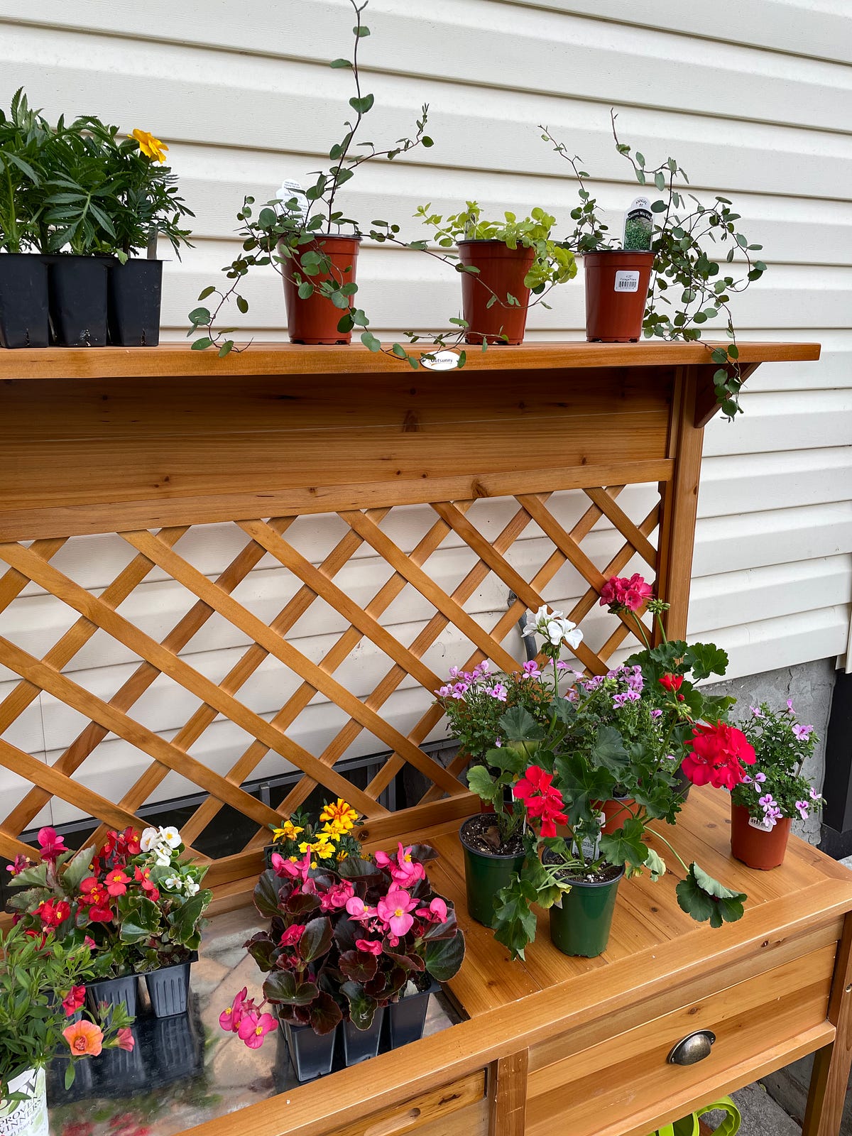 Pure Dirt Smells Like Spring — Or Is That Potting Soil? | by Patricia ...