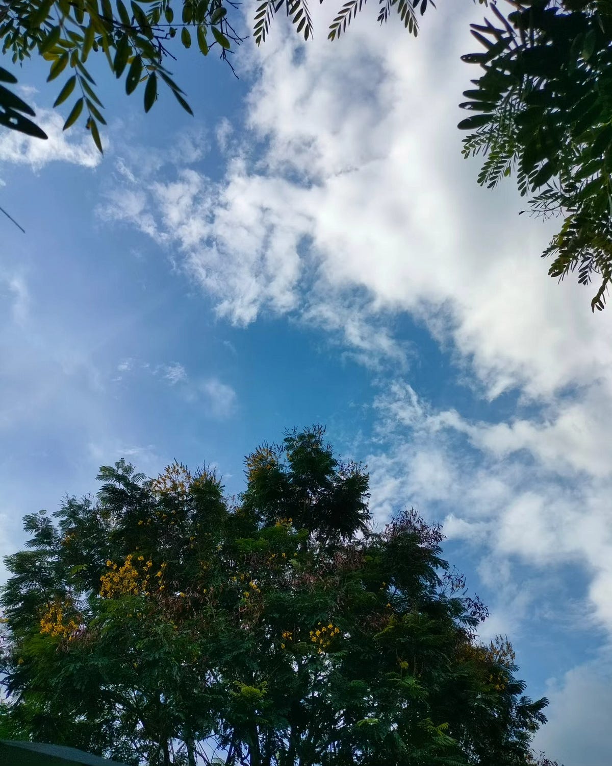 Under the open sky of hope 🩵 | by Shrayee Mukherji | Medium
