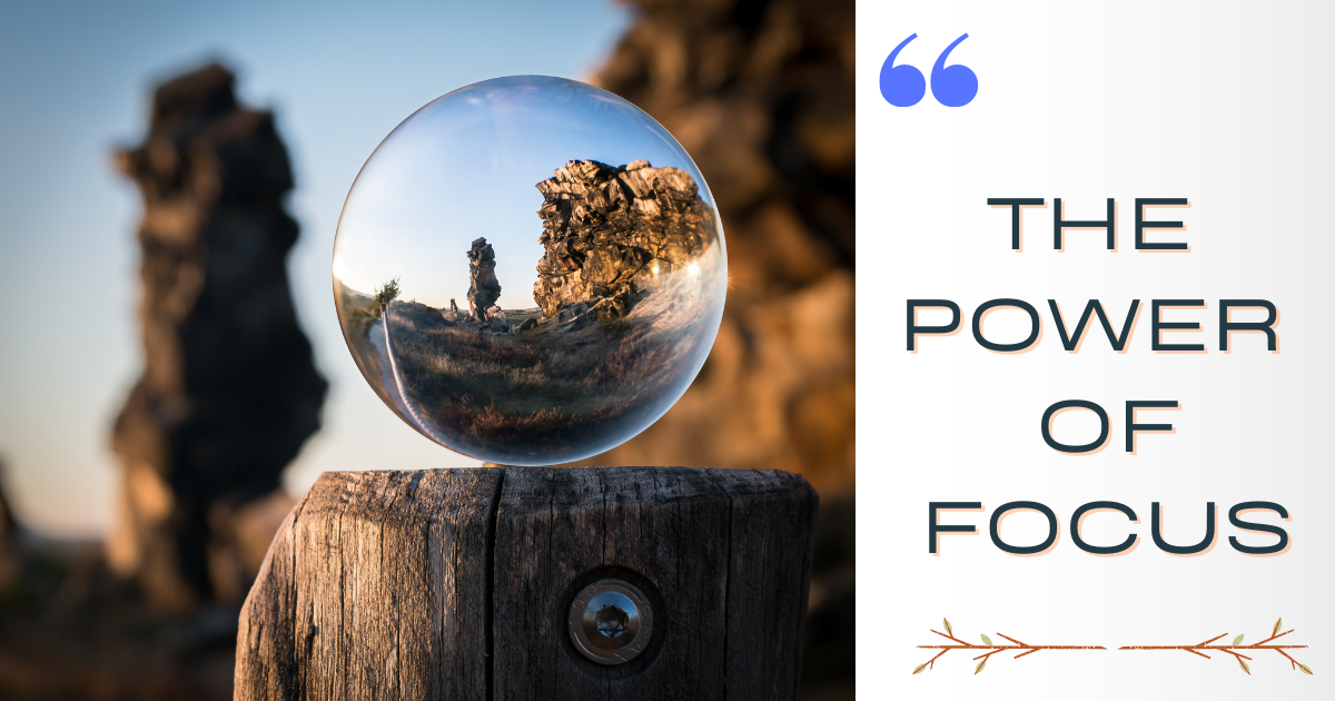 The Power of One: Why Focusing on Just One Thing is the Key to ...