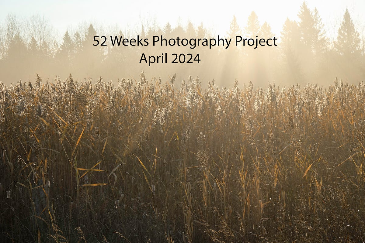 52 Week Photography Project. April Edition | by John keeler | Full ...