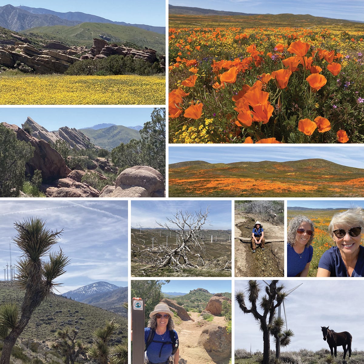Valencia area and more of the PCT, CA | by Gila Melamed | Apr, 2023 | Medium