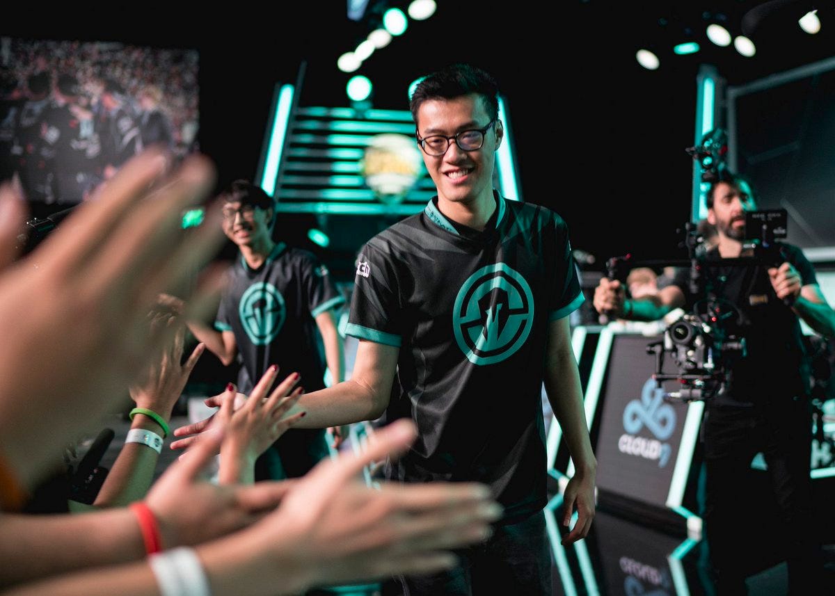 Wildturtle Jason Tran