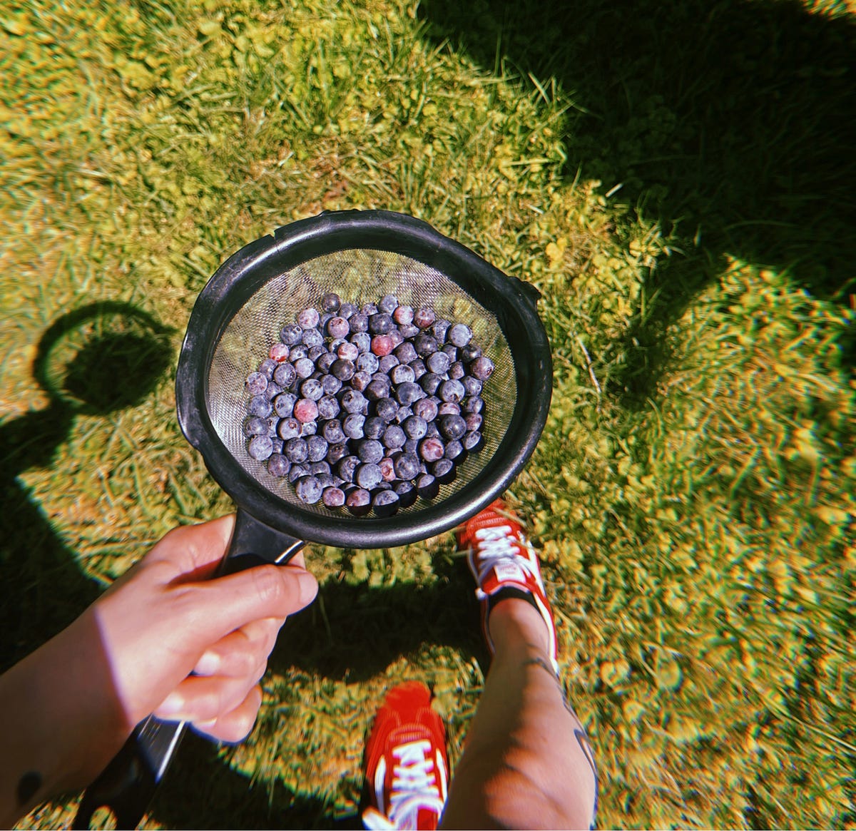 When July Slips Away. Where Light Fades into Memory | by Kelsey Hirsch | Picture Poetry | Jul ...