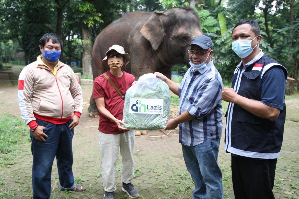 Threatened by Famine, Several Communities Donate Feed for Animals in ...