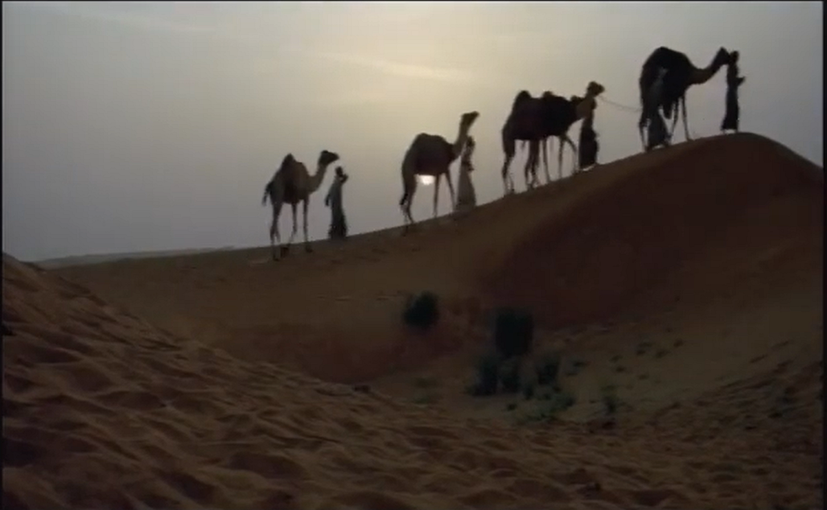 Arabian Sands. Pathbreaking Emirati movie “Arabian… | by ram | Medium