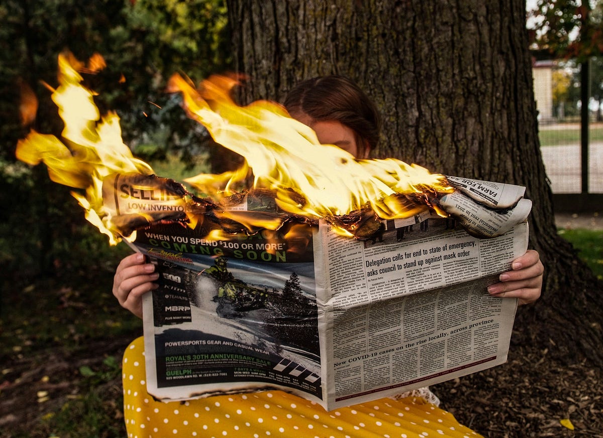 The Economics of Niche Media. Why can specialized content be more… | by ...