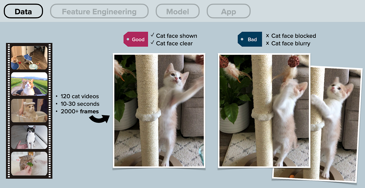 Picture Purrfect. Capturing the best moment with your… | by Katie Huang ...